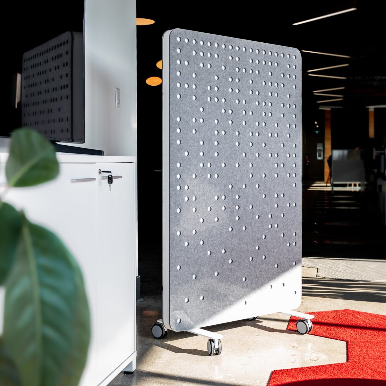 Acoustic Panel Solutions - ThinkLightWeight.com